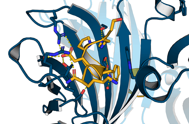 Strep-tag® technology - One affinity tag for all applications